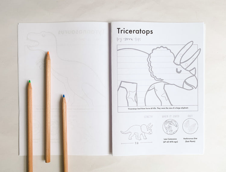 Dinosaur Colouring Book – PaperPaintPixels