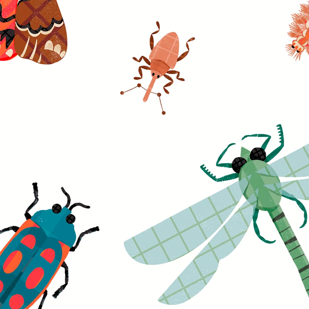 Download Insect Printable – PaperPaintPixels