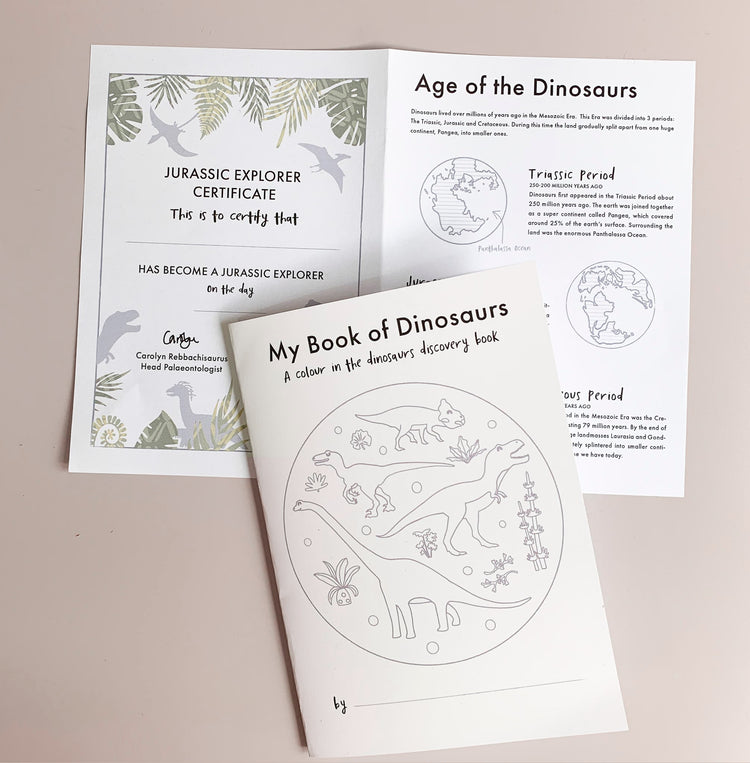 Dinosaur Colouring Book – PaperPaintPixels
